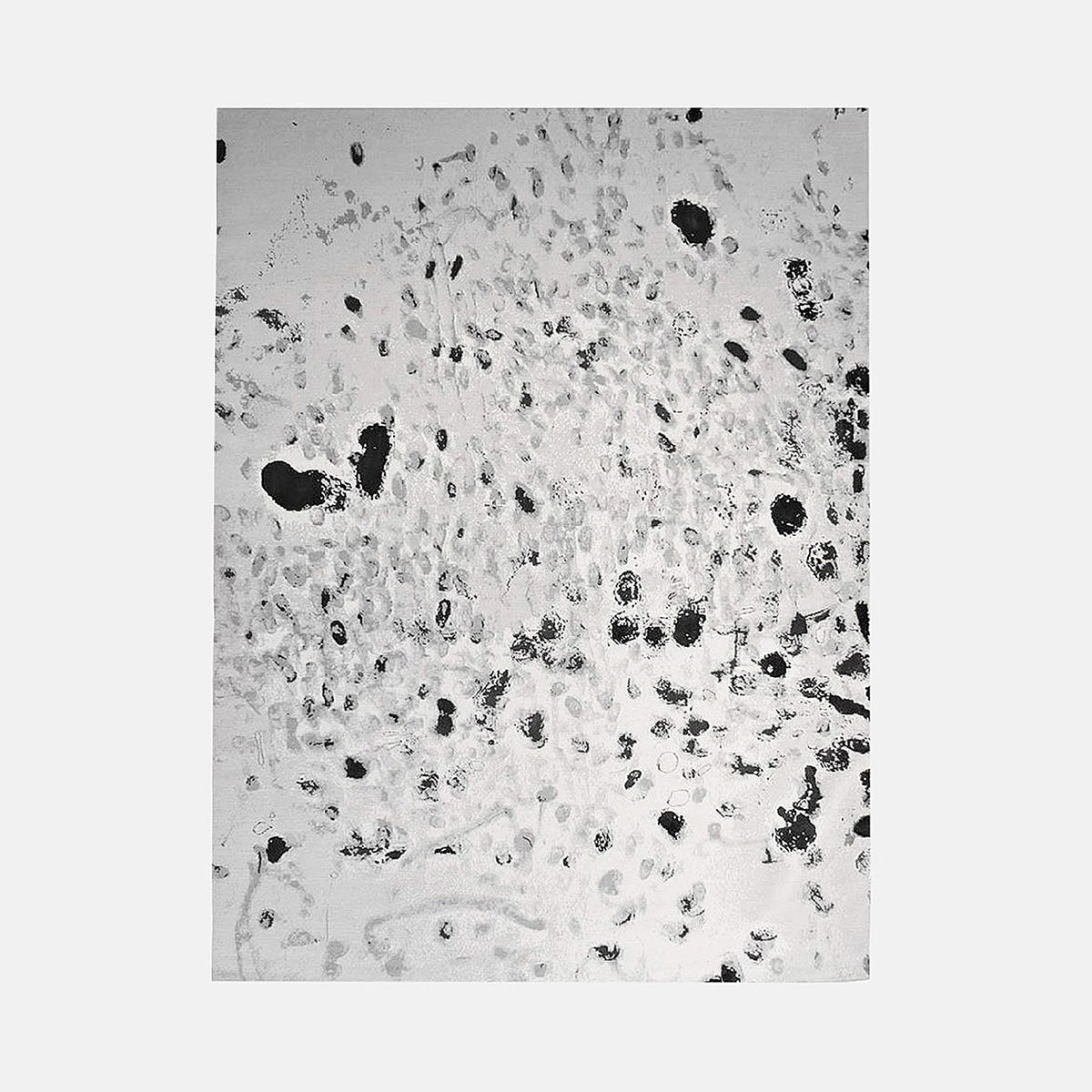 ROBERT KNOKE, Bruce LaBruce, 2014 – Henzel Studio - The Leading Art Rug ...